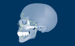 Implant-Supported vs. Conventional Fixed Dental Prostheses - Comparison ...